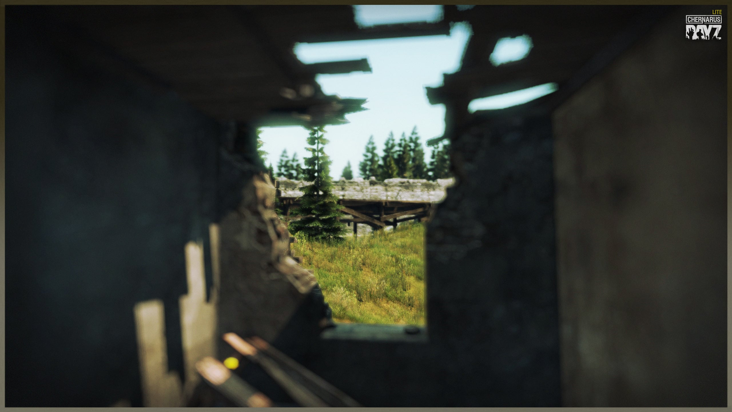 Showcase